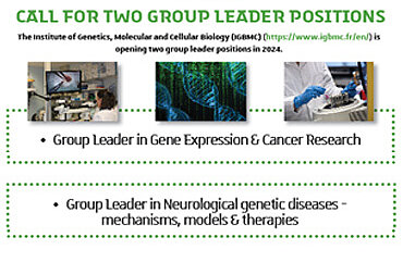 Call for Two Group Leader positions | IGBMC