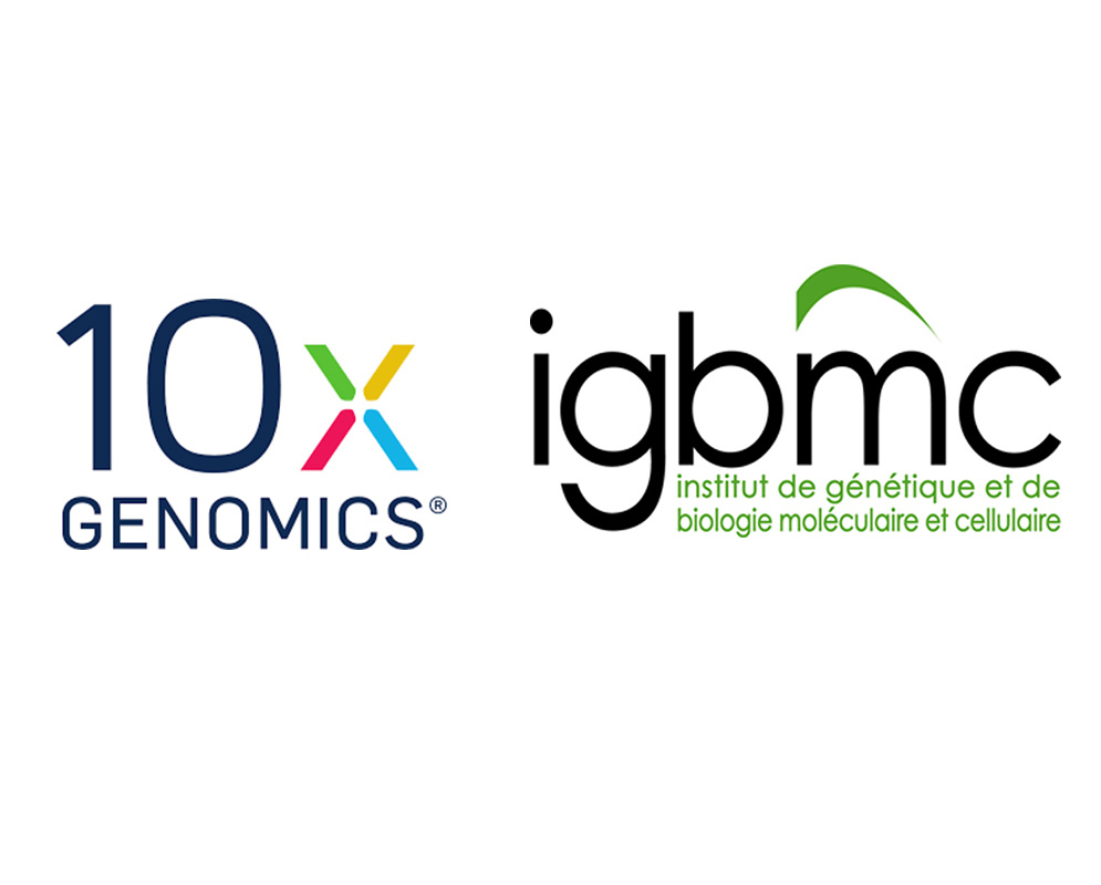 Evénement 10x Genomics & IGBMC : Single-cell user day | IGBMC