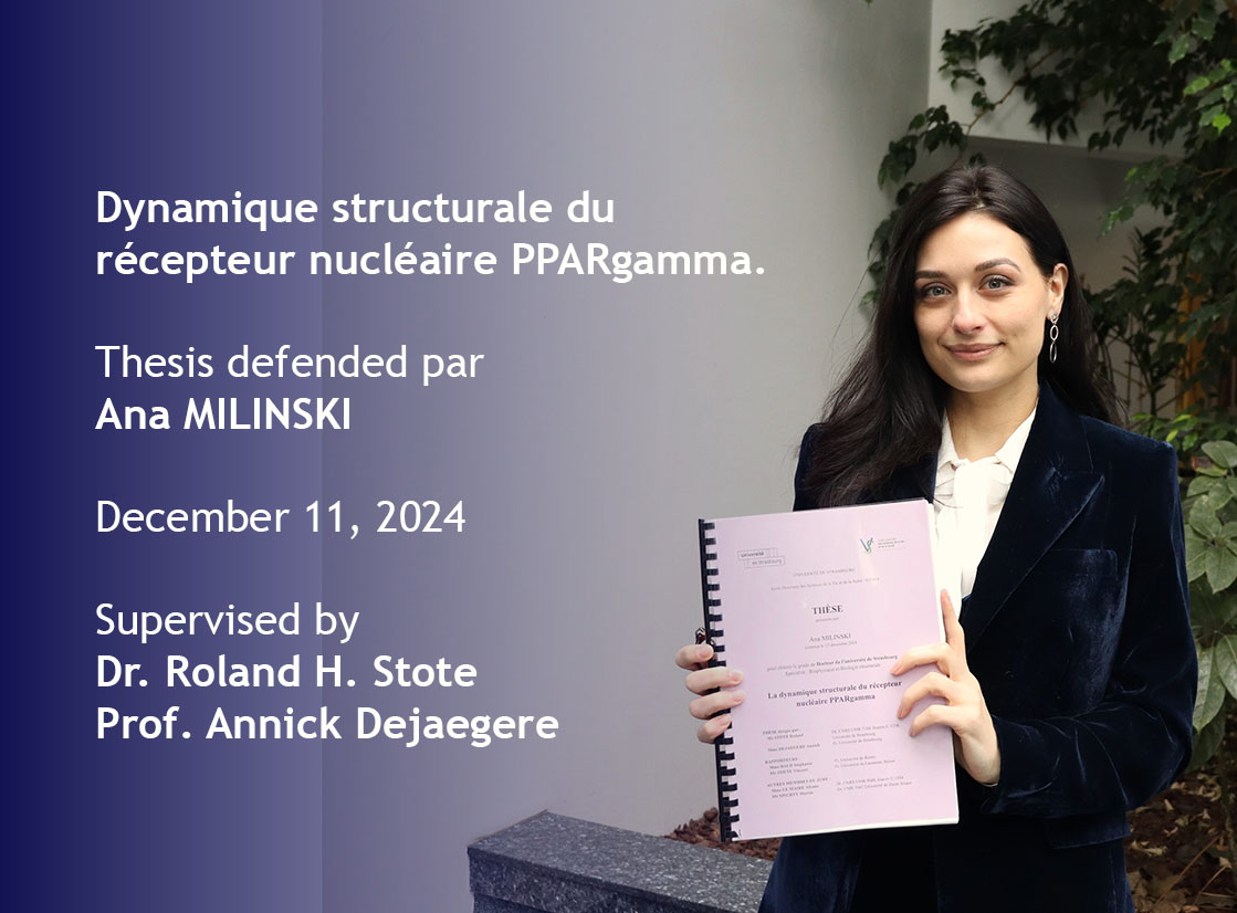 Félicitations à Ana MILINSKI pour l'acceptation de sa thèse ! | IGBMC