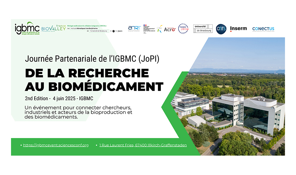 Journée Partenariale de l’IGBMC (JoPI), mercredi 4 juin 2025 | IGBMC