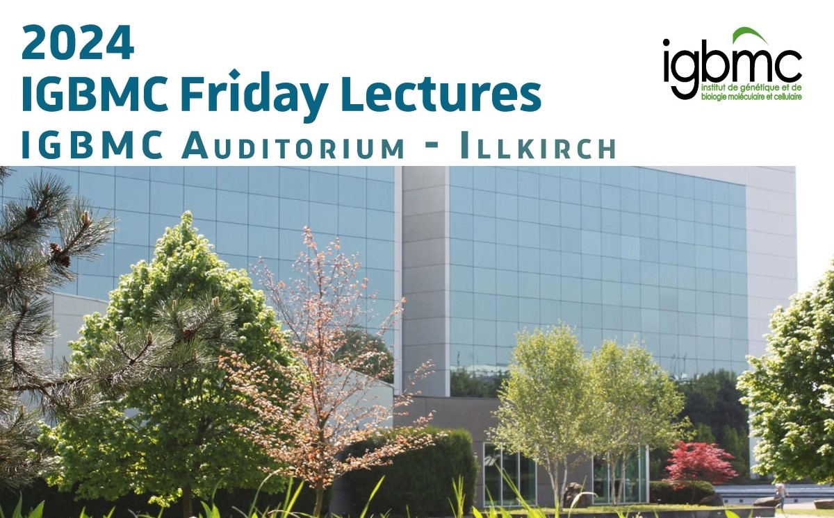 Friday lectures : Pr. Didier STAINIER, Transcriptional adaptation, an ...